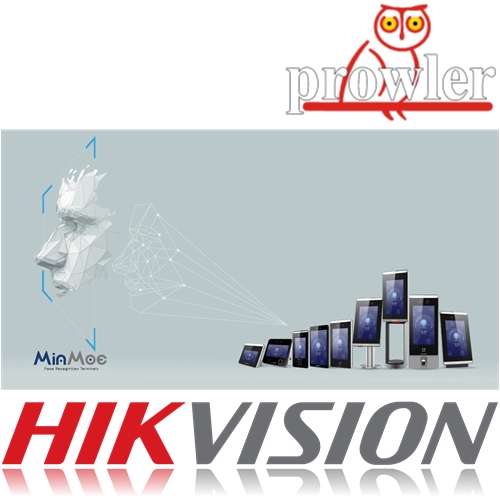 Hikvision MinMoe Archives - CCTV Systems Singapore